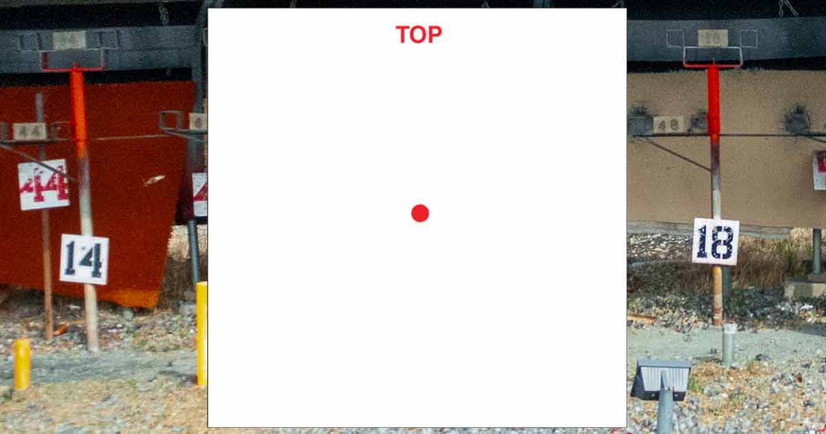 Turkey Shoot Targets to Improve Your Aim